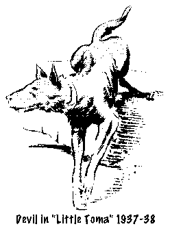 The Art of Ray Moore